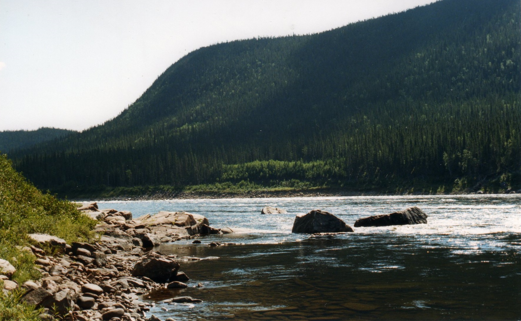 Damming Muskrat Falls: Land and River Protectors in Canada Recharge the ...