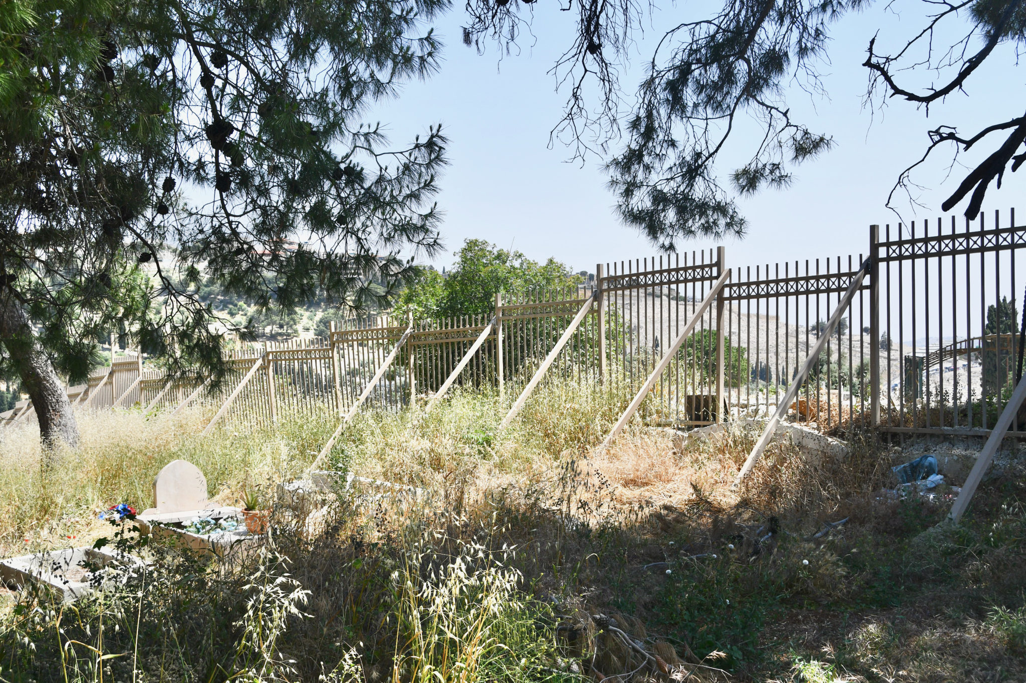 'Picnics Alongside Graves': Jerusalem to Build Biblical Park Over ...