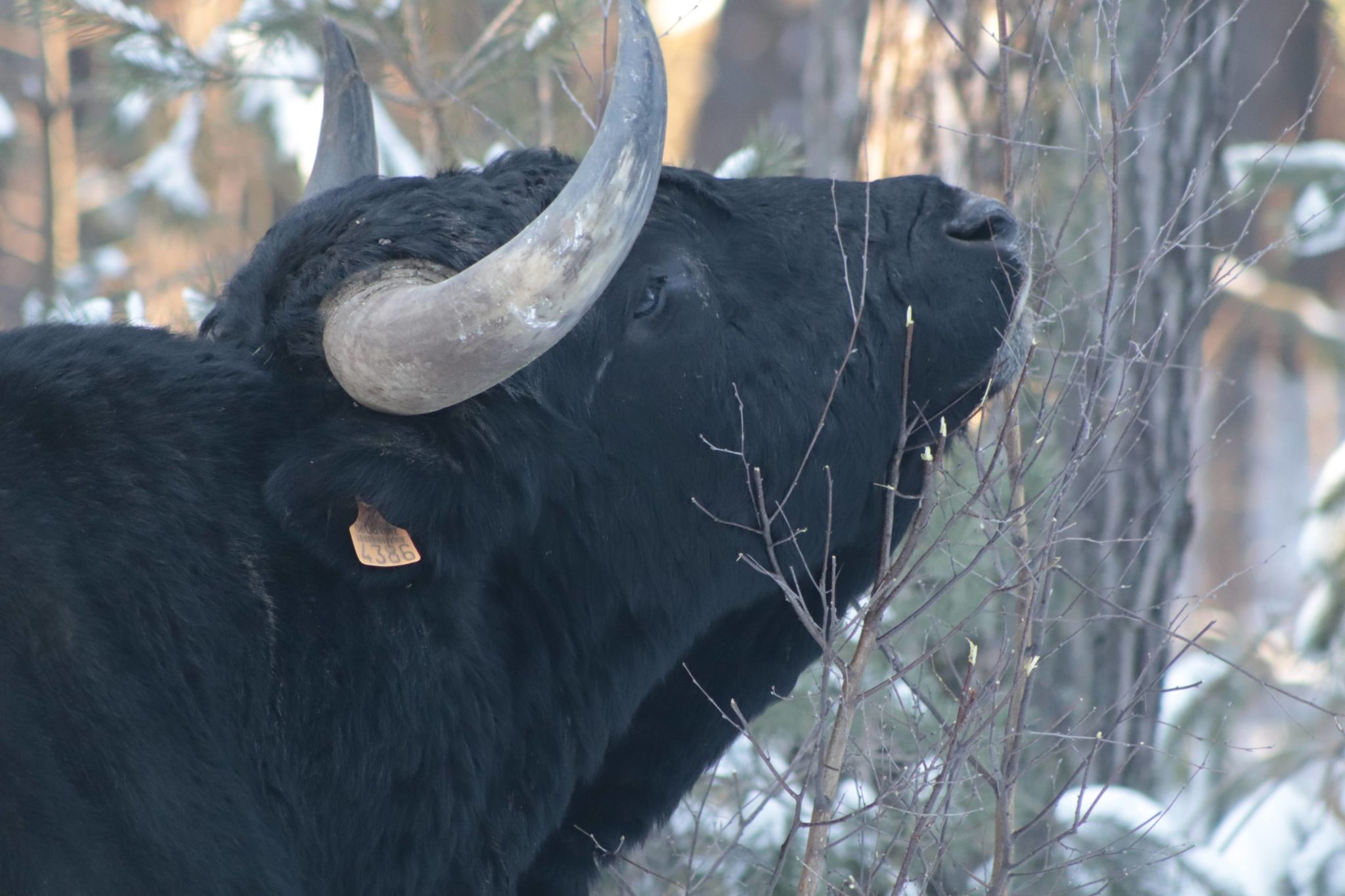 What Does India Get Out of Being Part of ‘The Quad’? - Toward Freedom