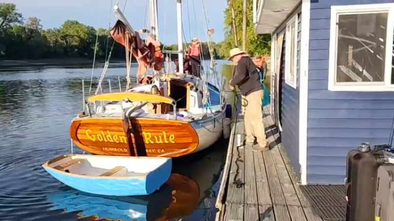 Book Review: 'Cancel This Book' Asks for a Return to Revolutionary ...