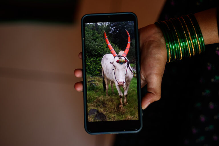 Sinking Cities Project: 'Alexandria: Layers of History, Levels of ...