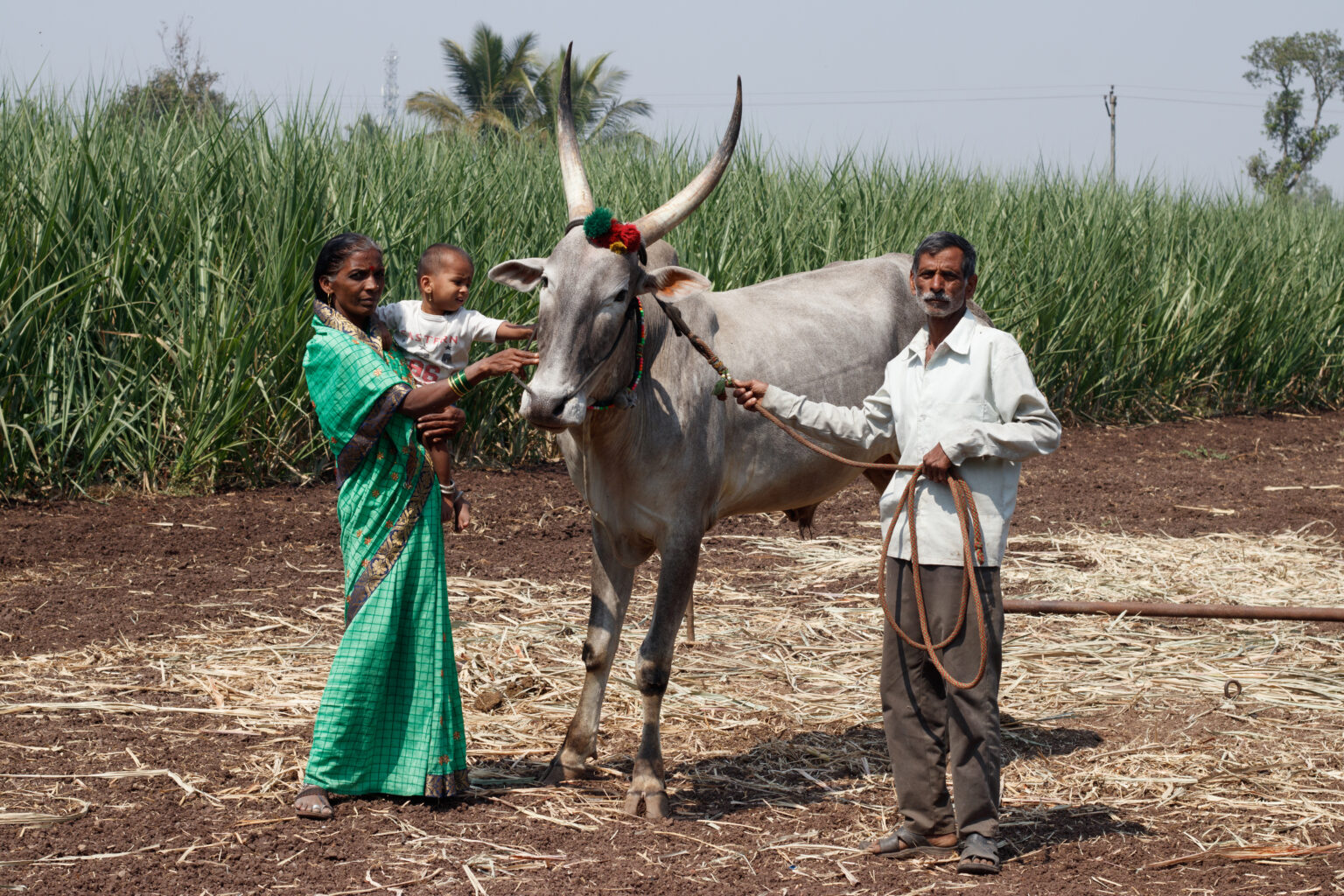 Sinking Cities Project: 'Alexandria: Layers of History, Levels of ...